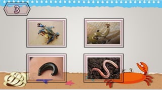 Vertebrates and Invertebrates with Interactive.pptx