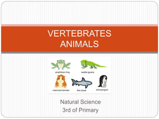 Vertebrates animals | PPTX
