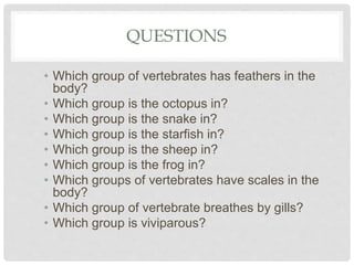 Vertebrates animals part 2 | PPTX