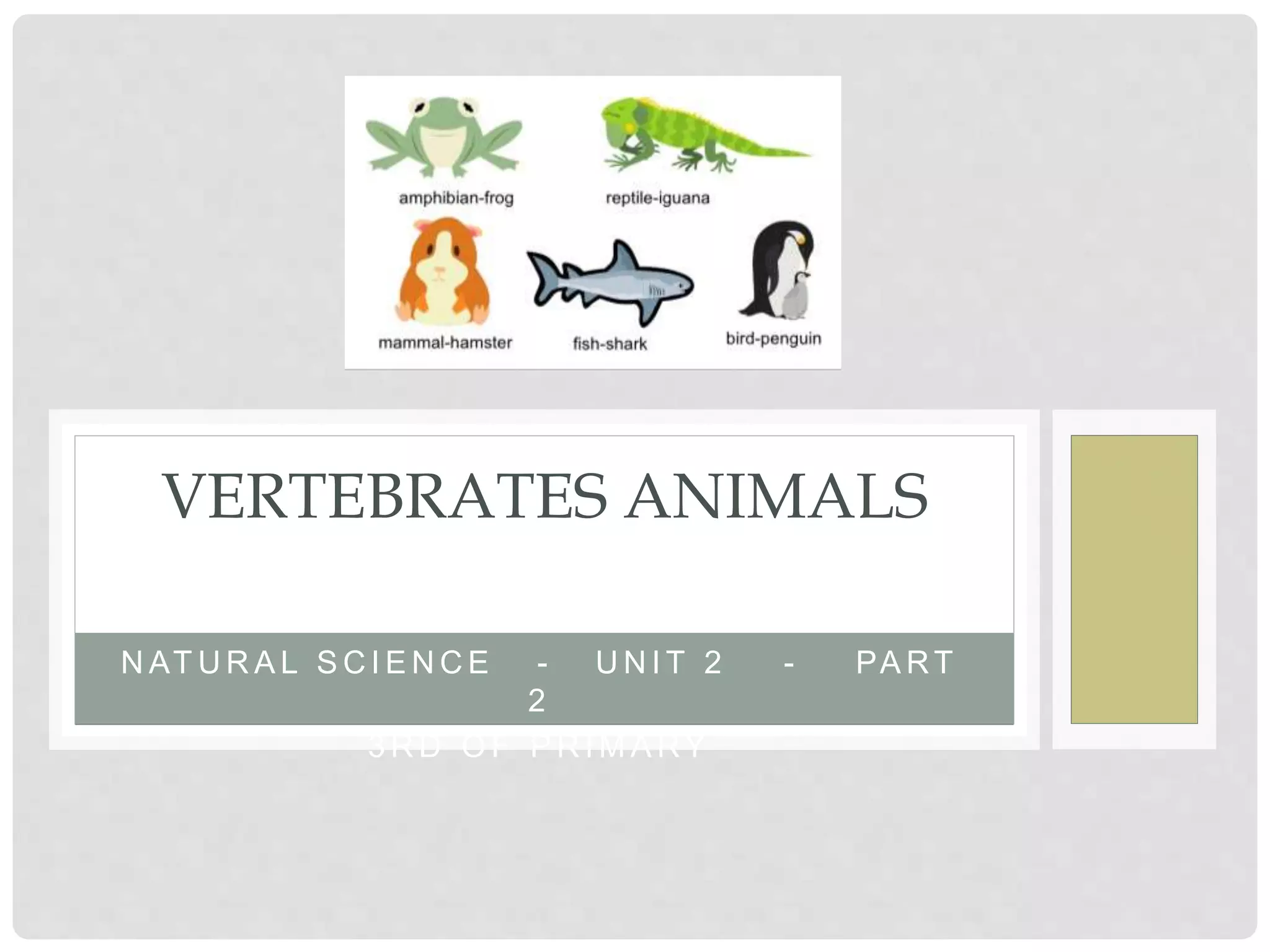 Vertebrates animals part 2 | PPTX