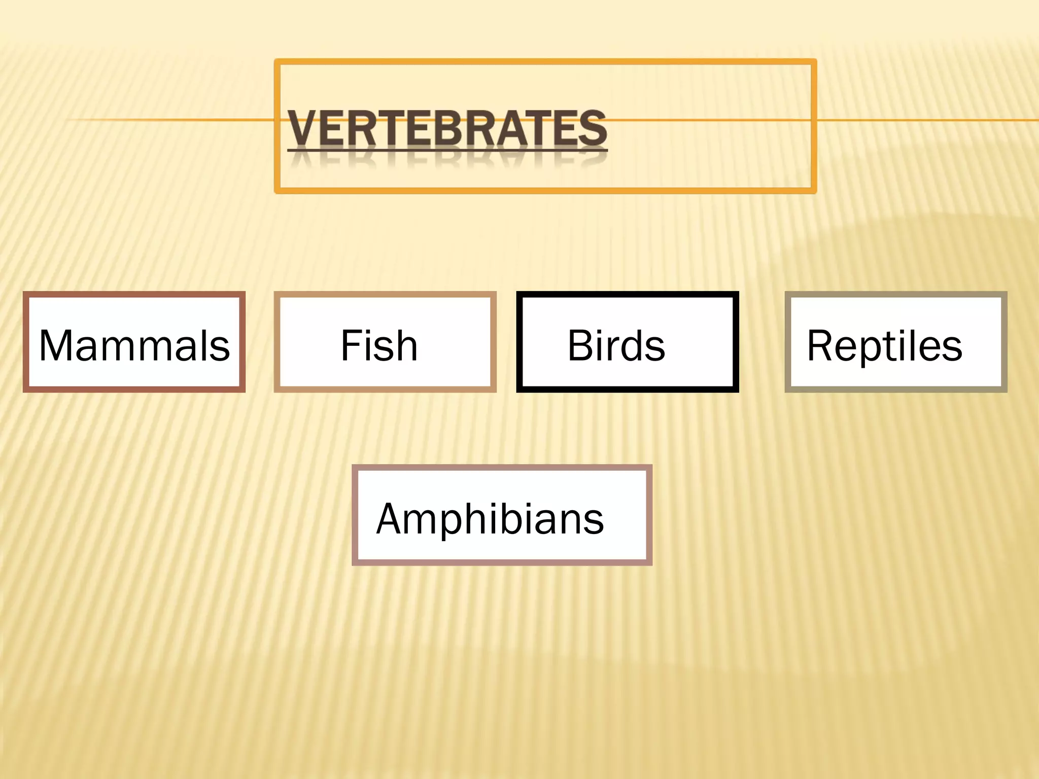 Vertebrates classification | PPT
