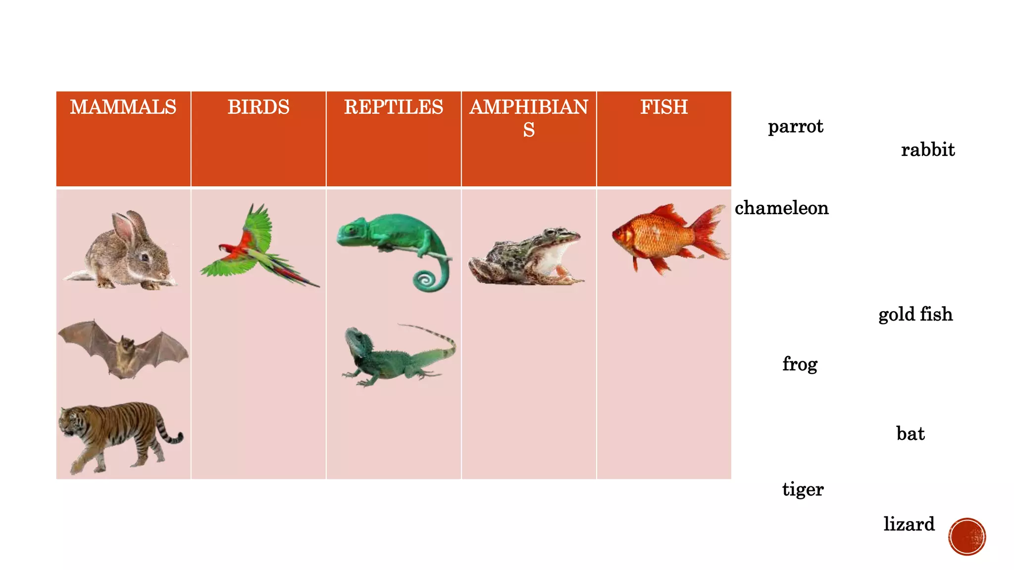 VERTEBRATES CLASSIFICATION.pptx