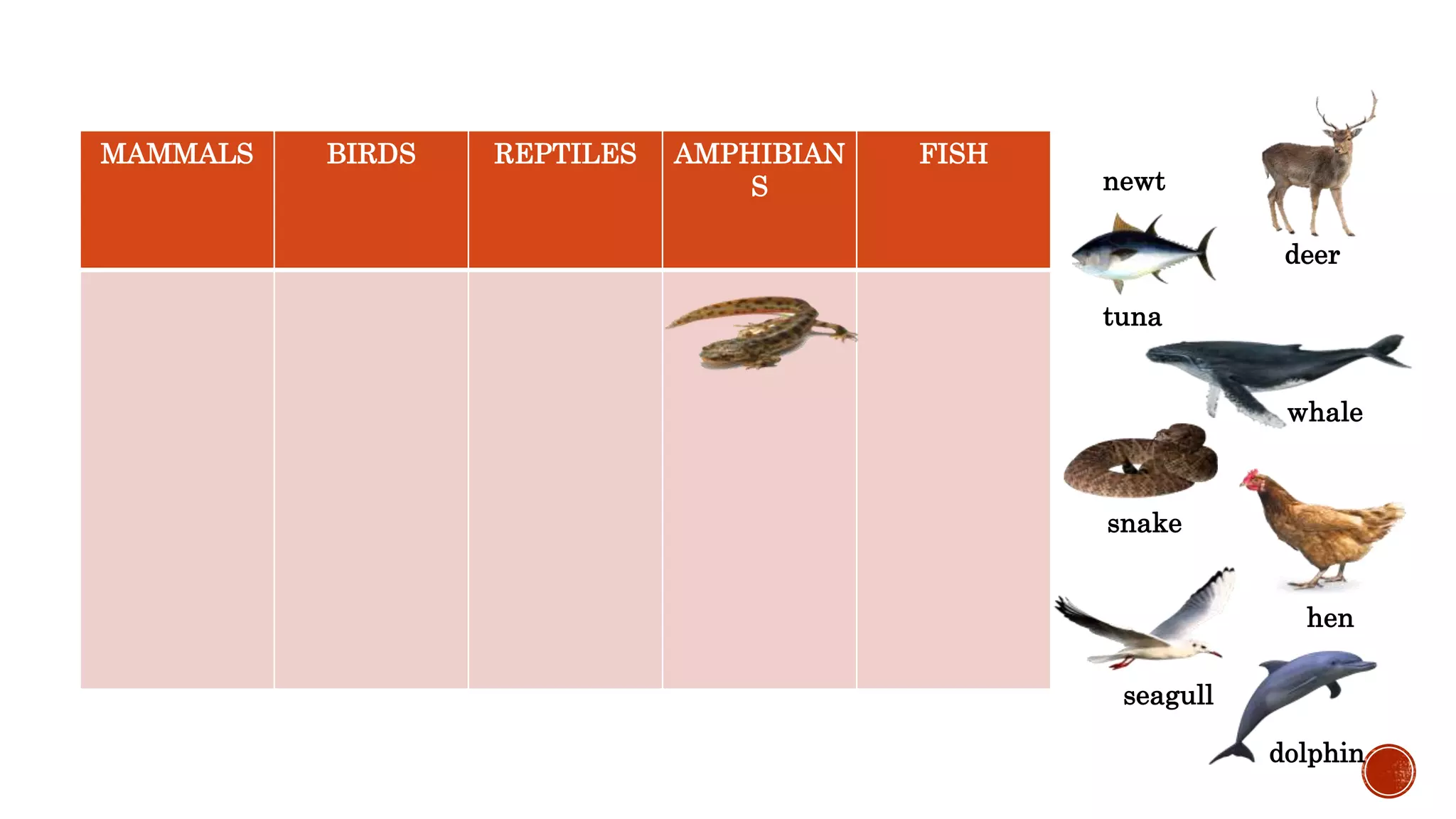 VERTEBRATES CLASSIFICATION.pptx