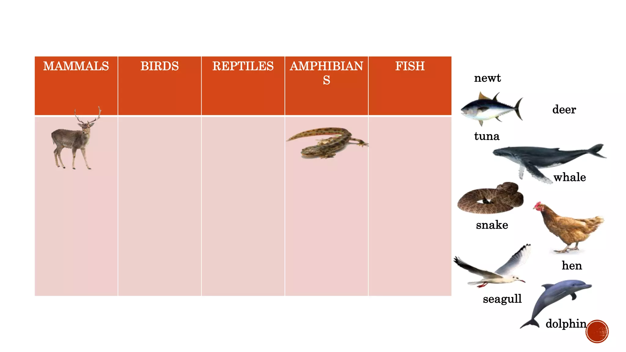VERTEBRATES CLASSIFICATION.pptx | Free Download