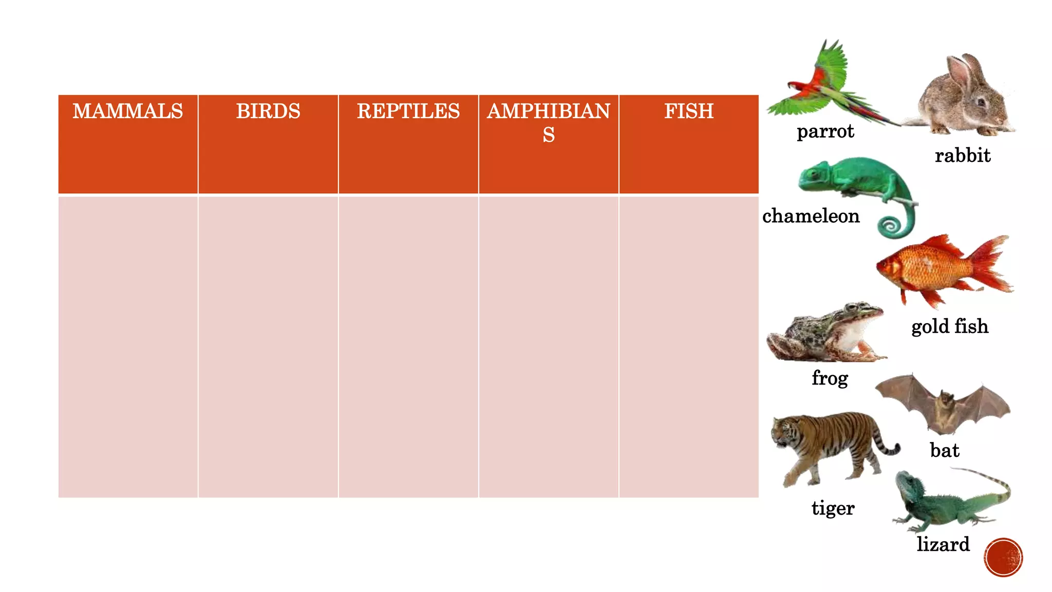 VERTEBRATES CLASSIFICATION.pptx