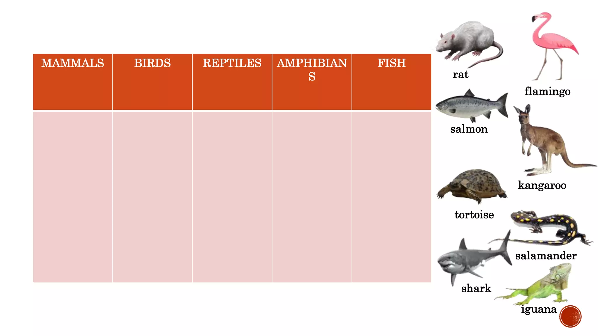 VERTEBRATES CLASSIFICATION.pptx