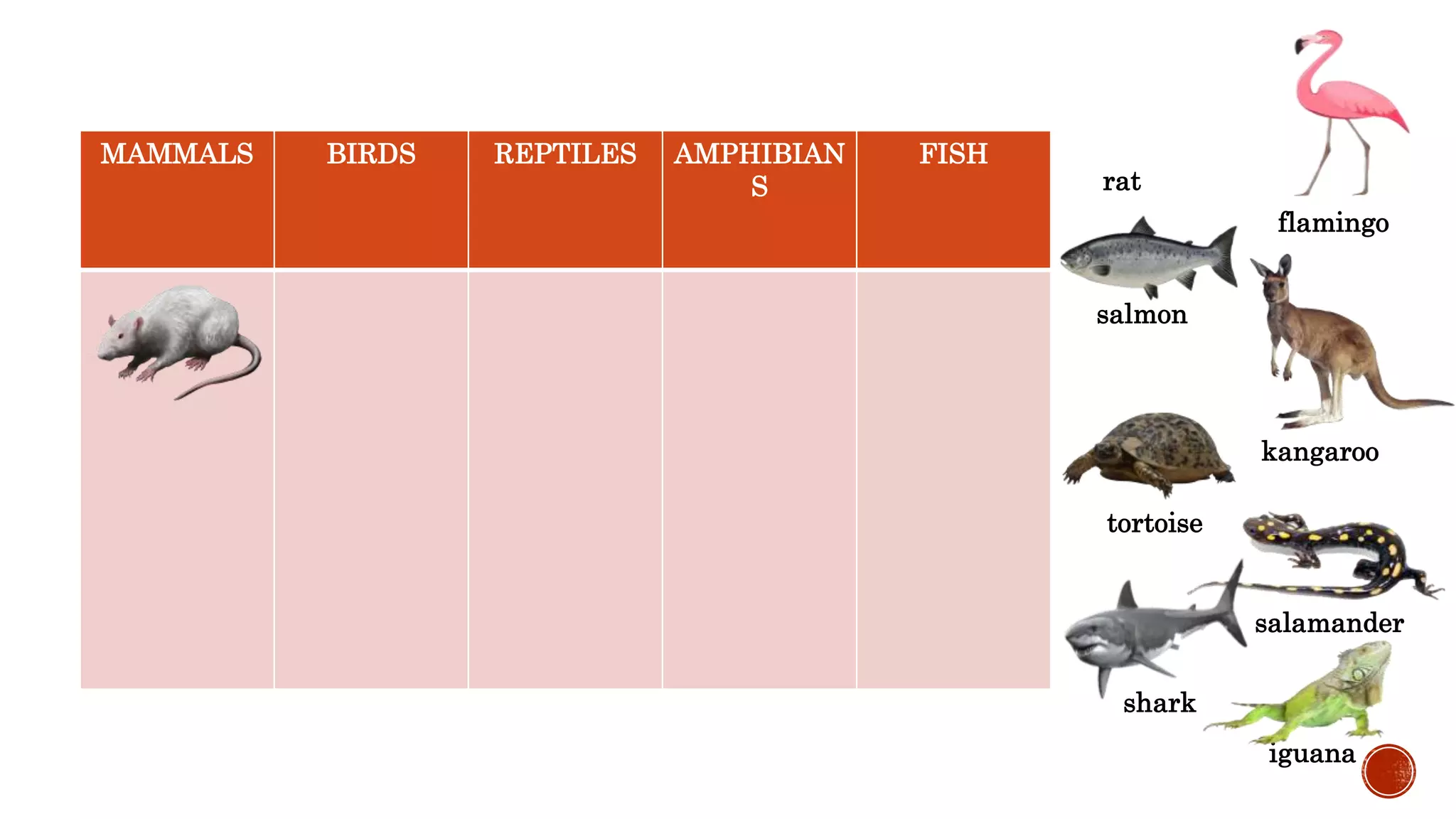 VERTEBRATES CLASSIFICATION.pptx