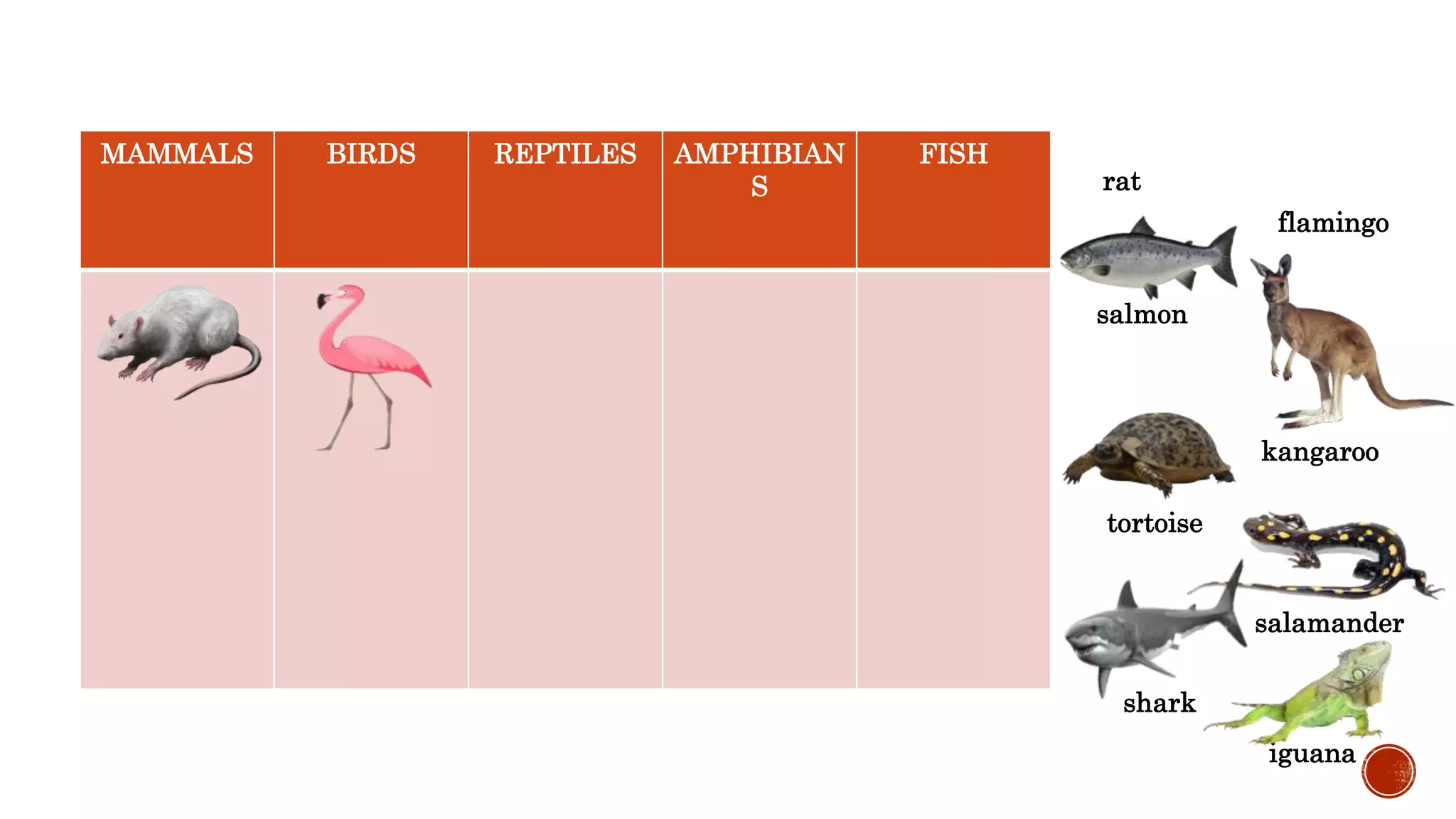 VERTEBRATES CLASSIFICATION.pptx