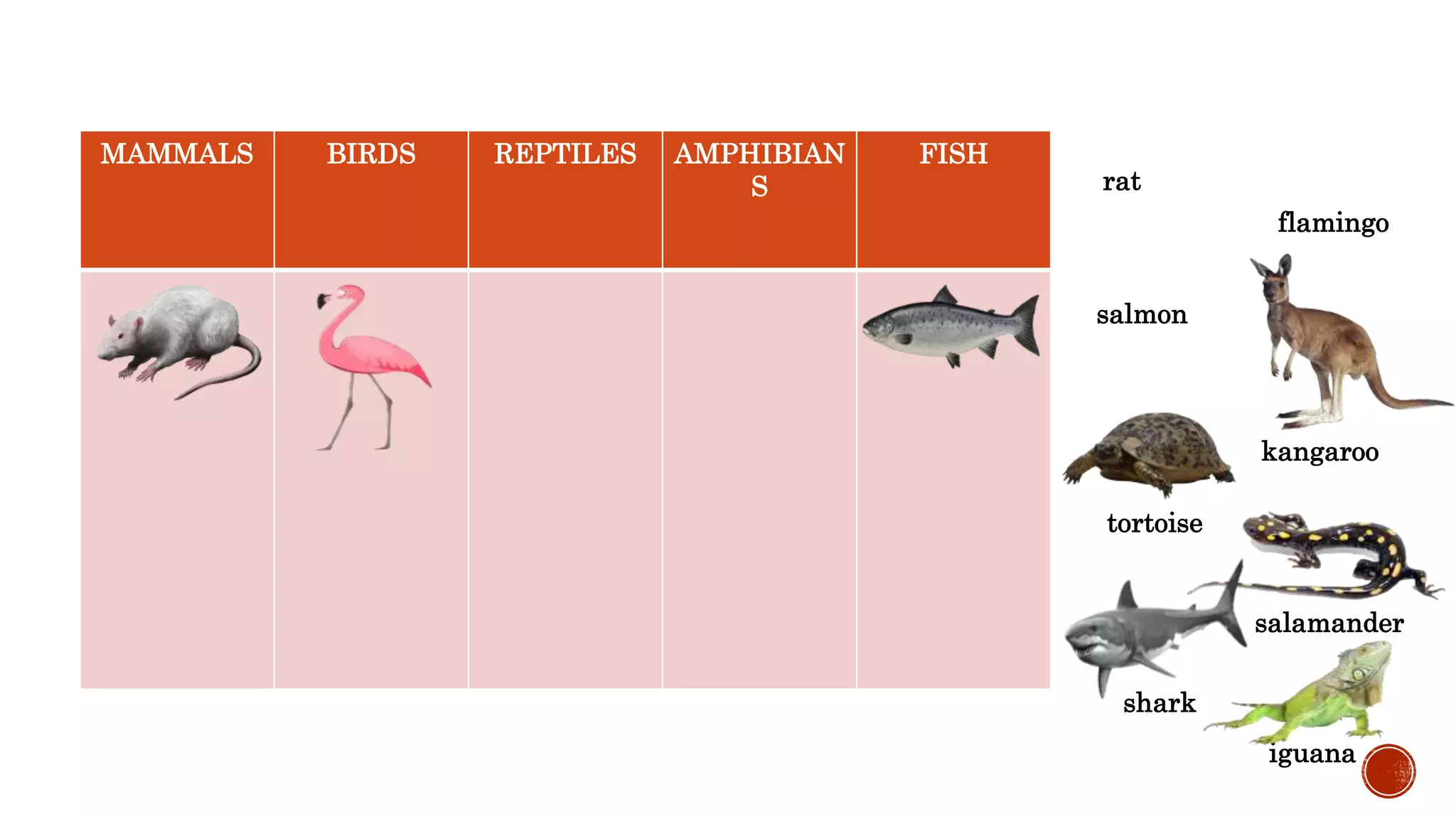 VERTEBRATES CLASSIFICATION.pptx