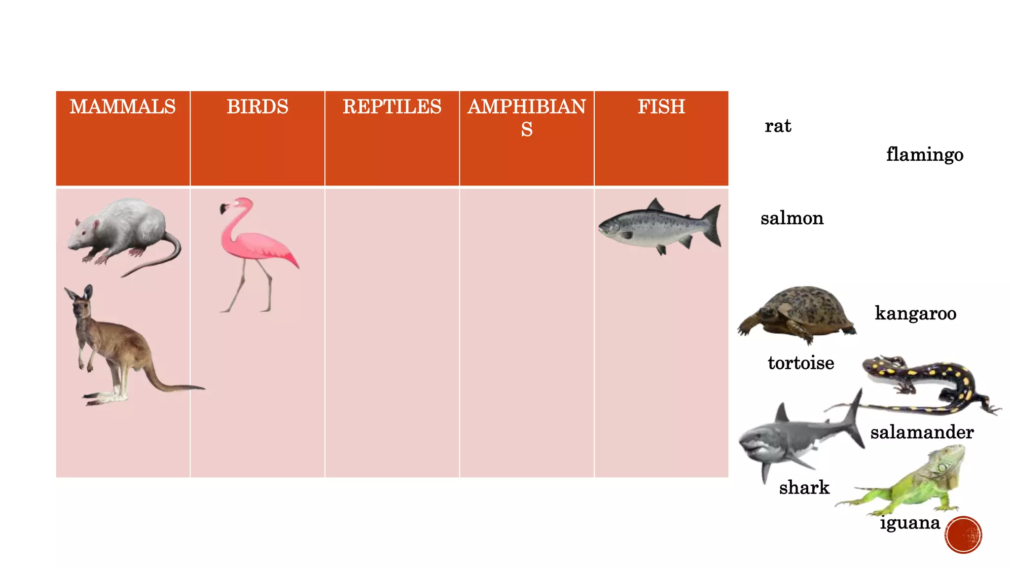 VERTEBRATES CLASSIFICATION.pptx