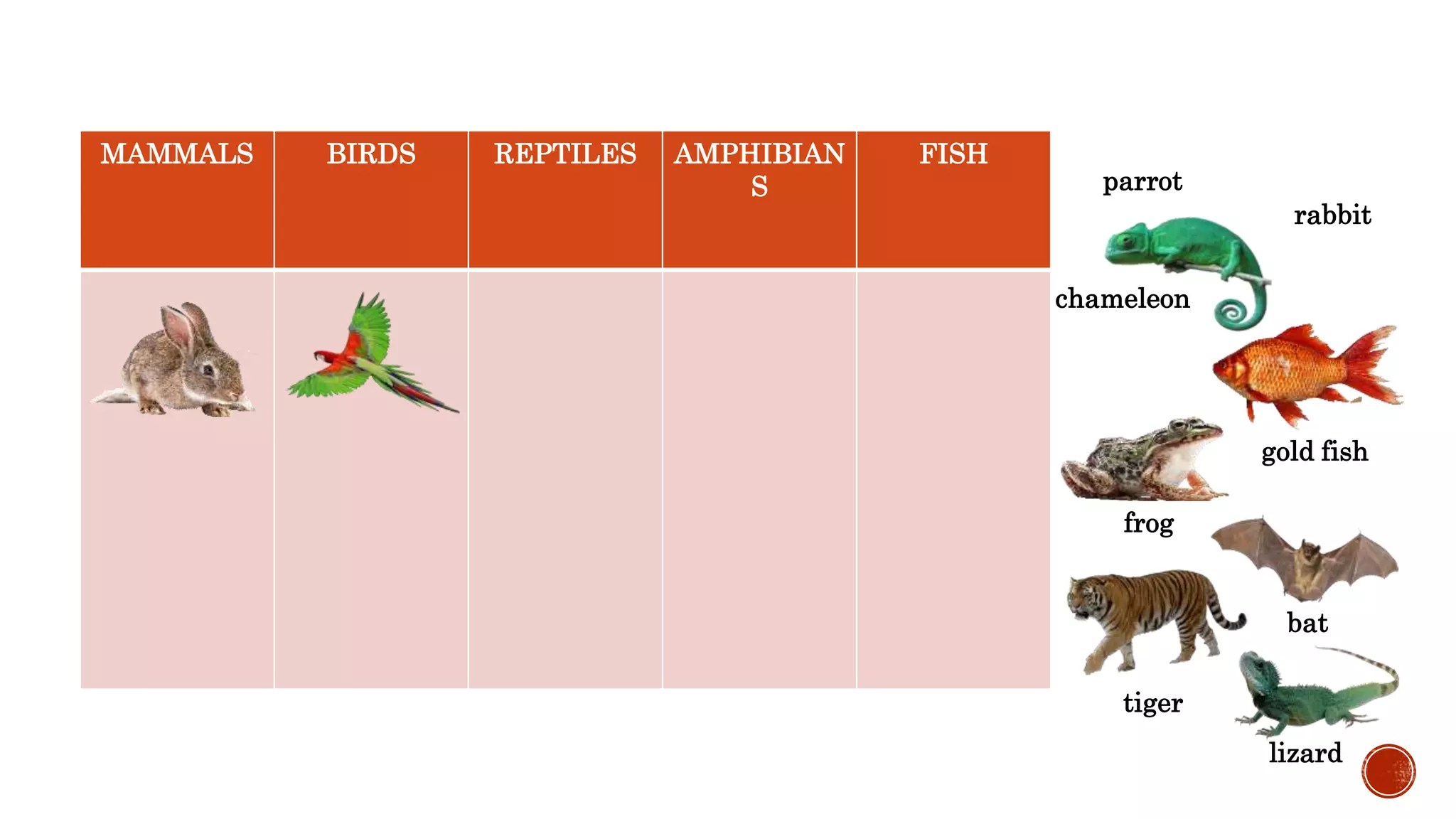 VERTEBRATES CLASSIFICATION.pptx