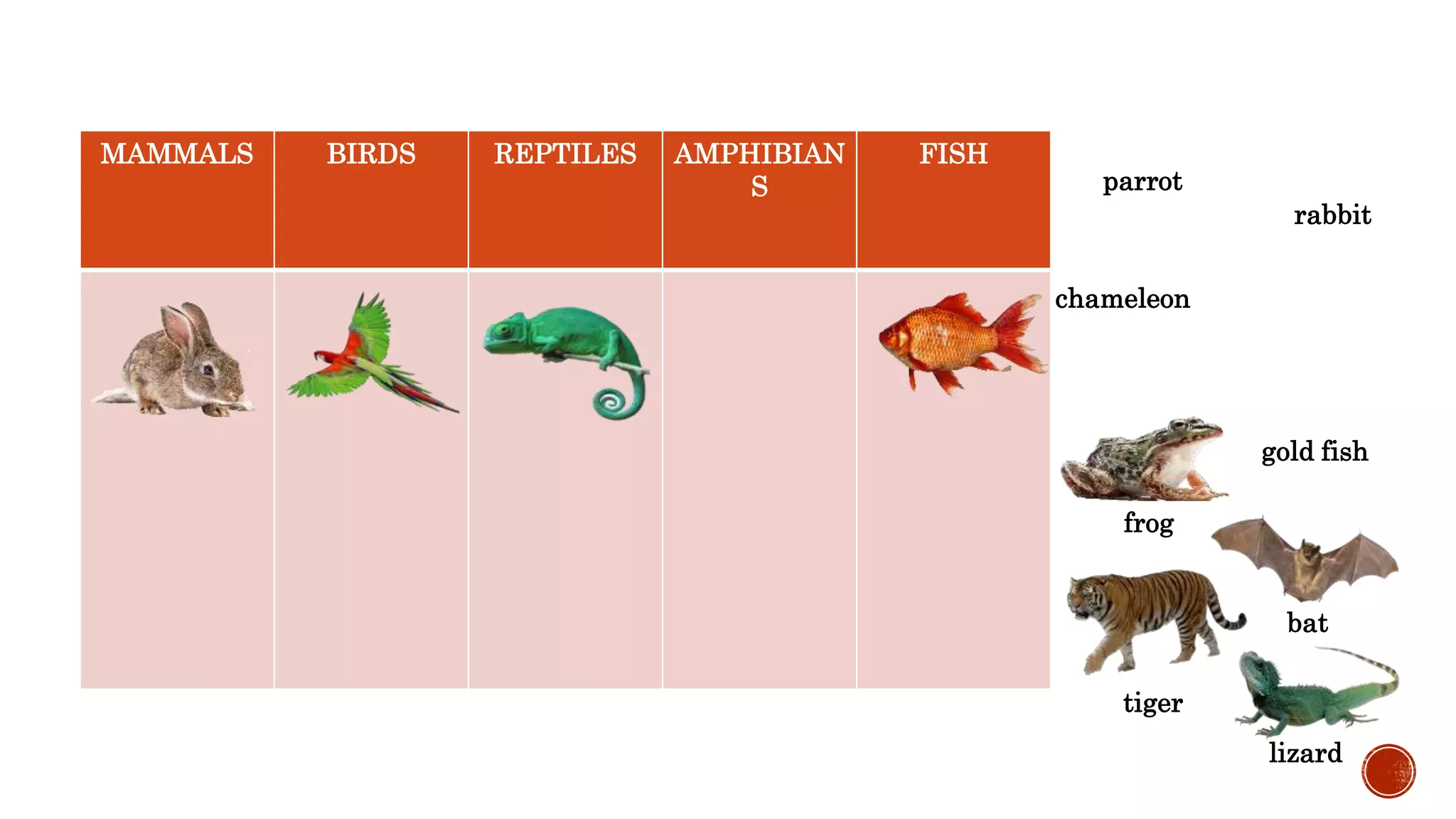 VERTEBRATES CLASSIFICATION.pptx