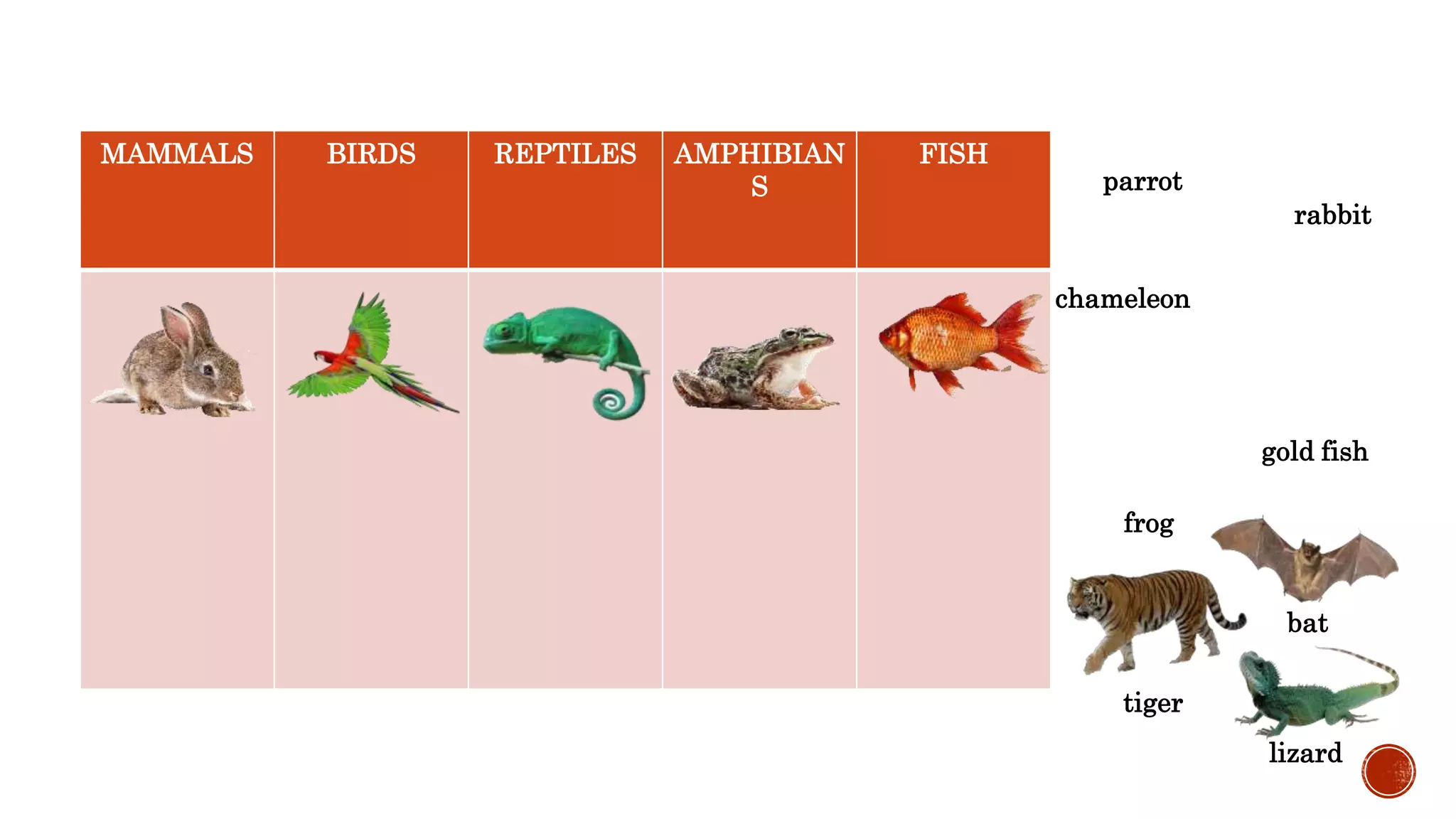 VERTEBRATES CLASSIFICATION.pptx