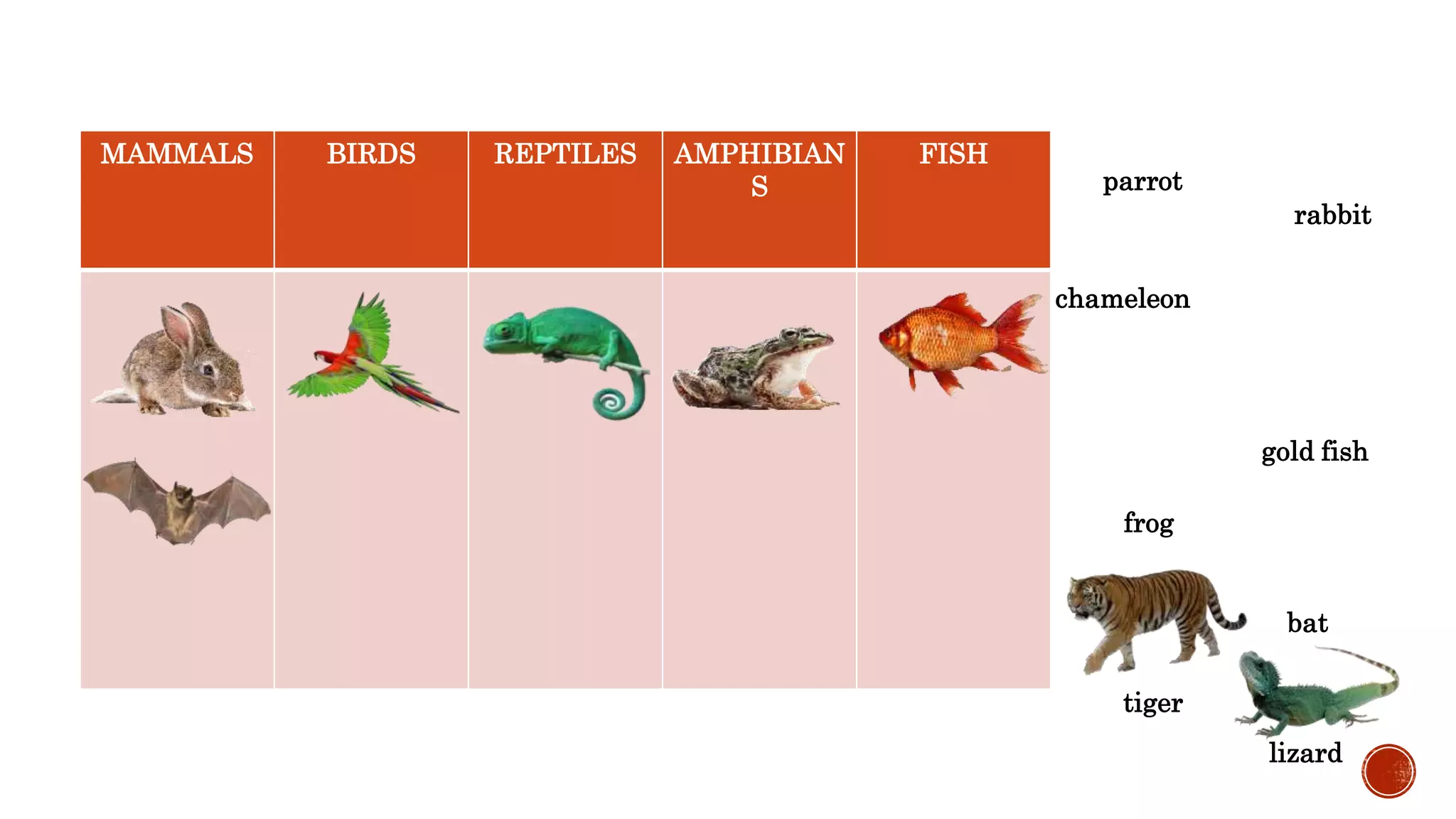 VERTEBRATES CLASSIFICATION.pptx