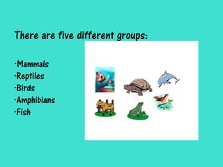 Vertebrates classification maribel | PPT
