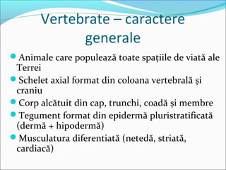 Vertebrate si ciclostomi | PPT