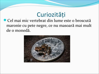 Vertebrate si ciclostomi | PPT