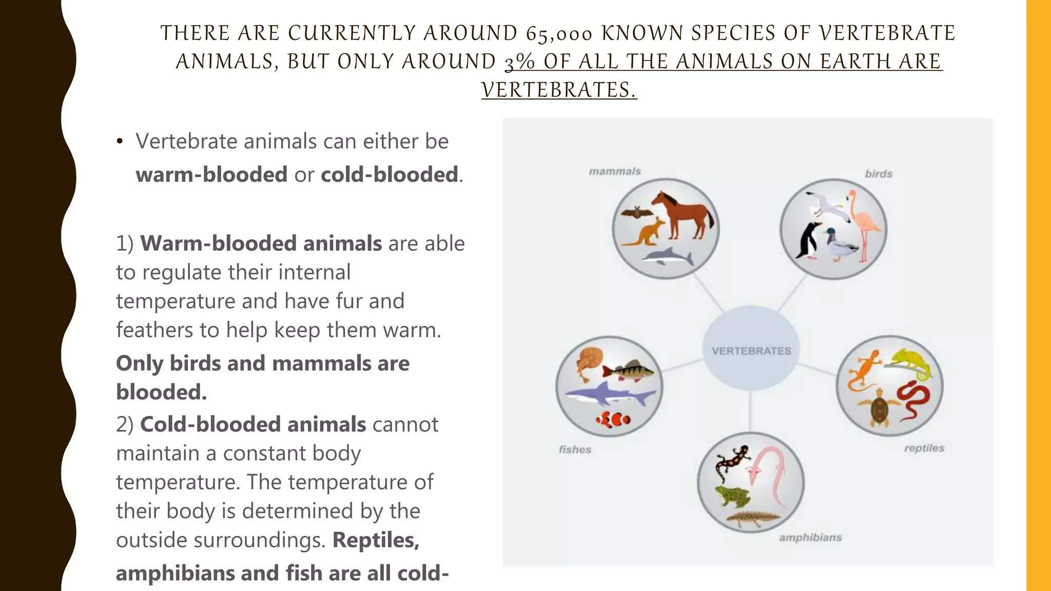 Vertebrates & invertebrates | PPTX