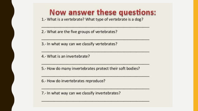 Vertebrates & invertebrates | PPT