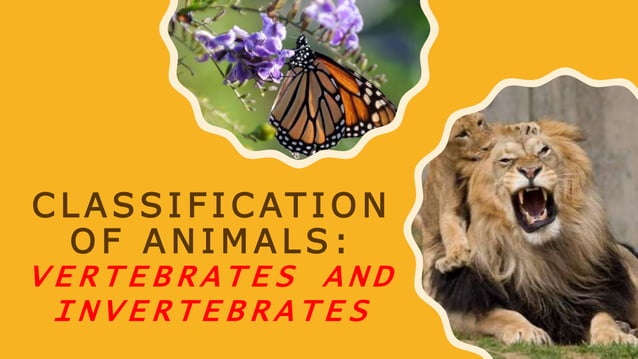 Vertebrates & invertebrates | PPT
