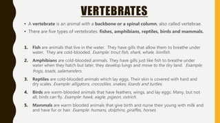 Vertebrates & invertebrates | PPTX
