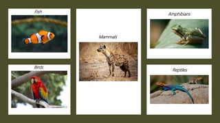 Vertebrates & invertebrates | PPTX