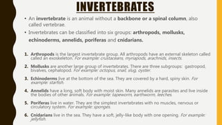 Vertebrates & invertebrates | PPTX
