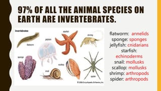 Vertebrates & invertebrates | PPTX