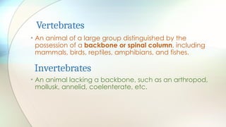 Vertebrates & Invertebrates impo (1).pptx