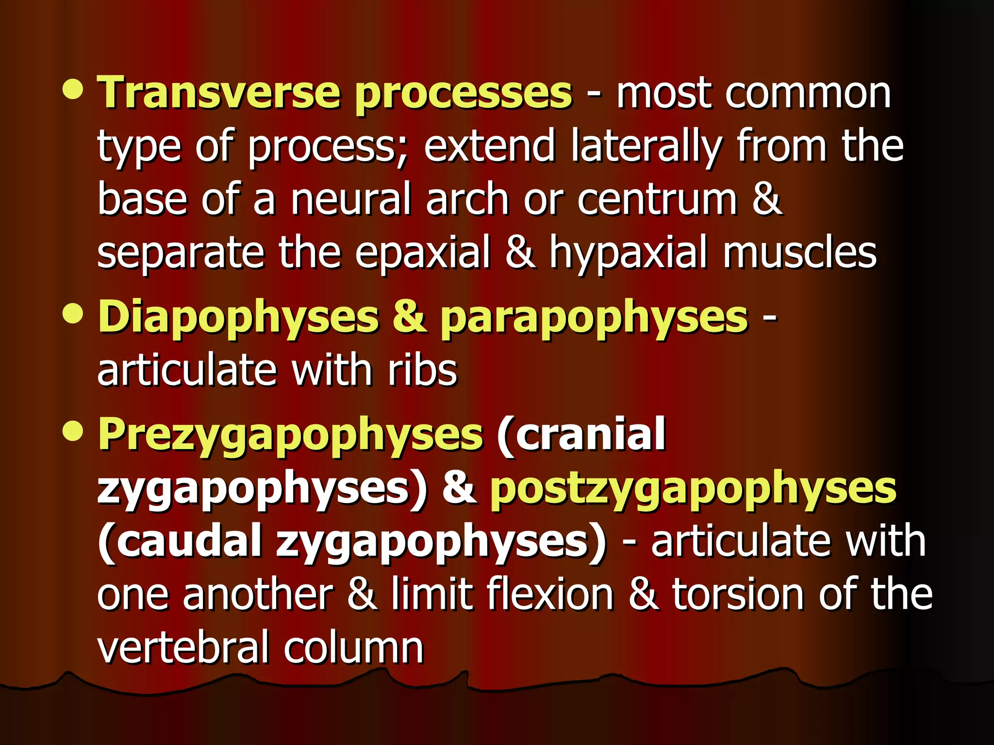 Vertebrate Skeletal Systems | PPT