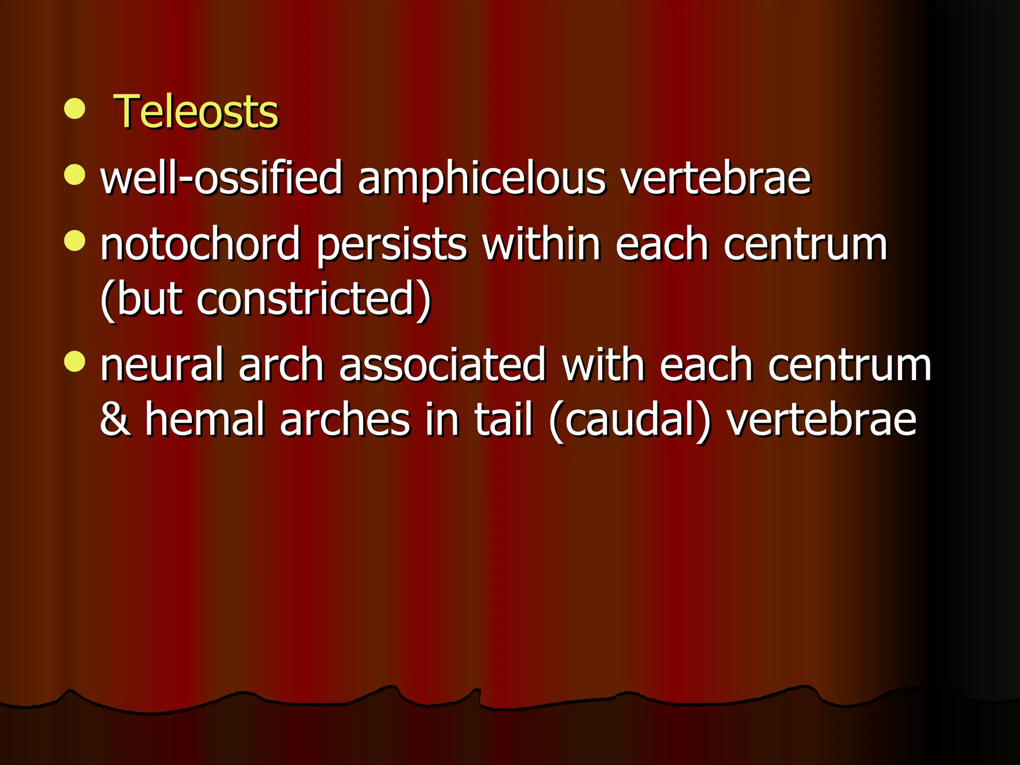 Vertebrate Skeletal Systems | PPT