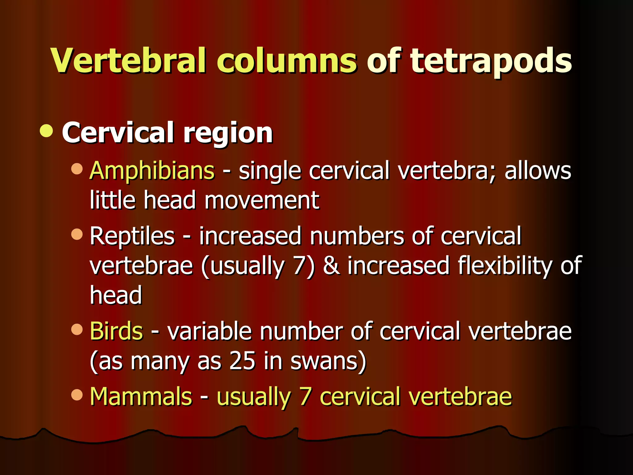 Vertebrate Skeletal Systems | PPT