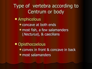 Vertebrate Skeletal Systems | PPT