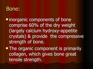 Vertebrate Skeletal Systems | PPT