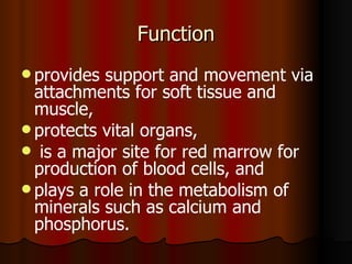 Vertebrate Skeletal Systems | PPT