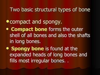 Vertebrate Skeletal Systems | PPT