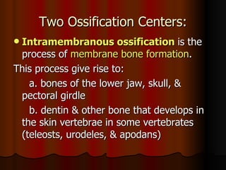 Vertebrate Skeletal Systems | PPT