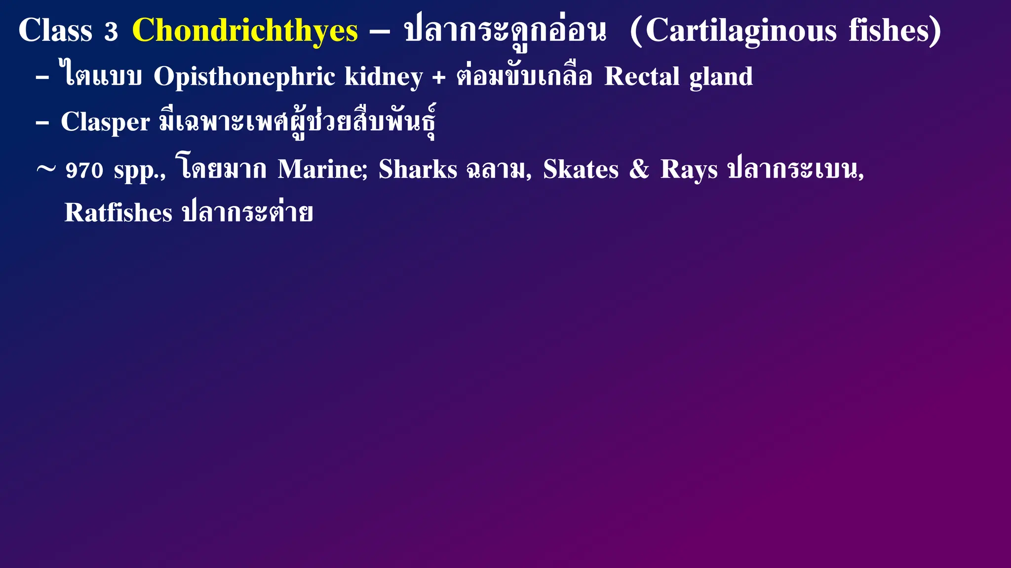 Vertebrates_Part 2 Pisces.pdf
