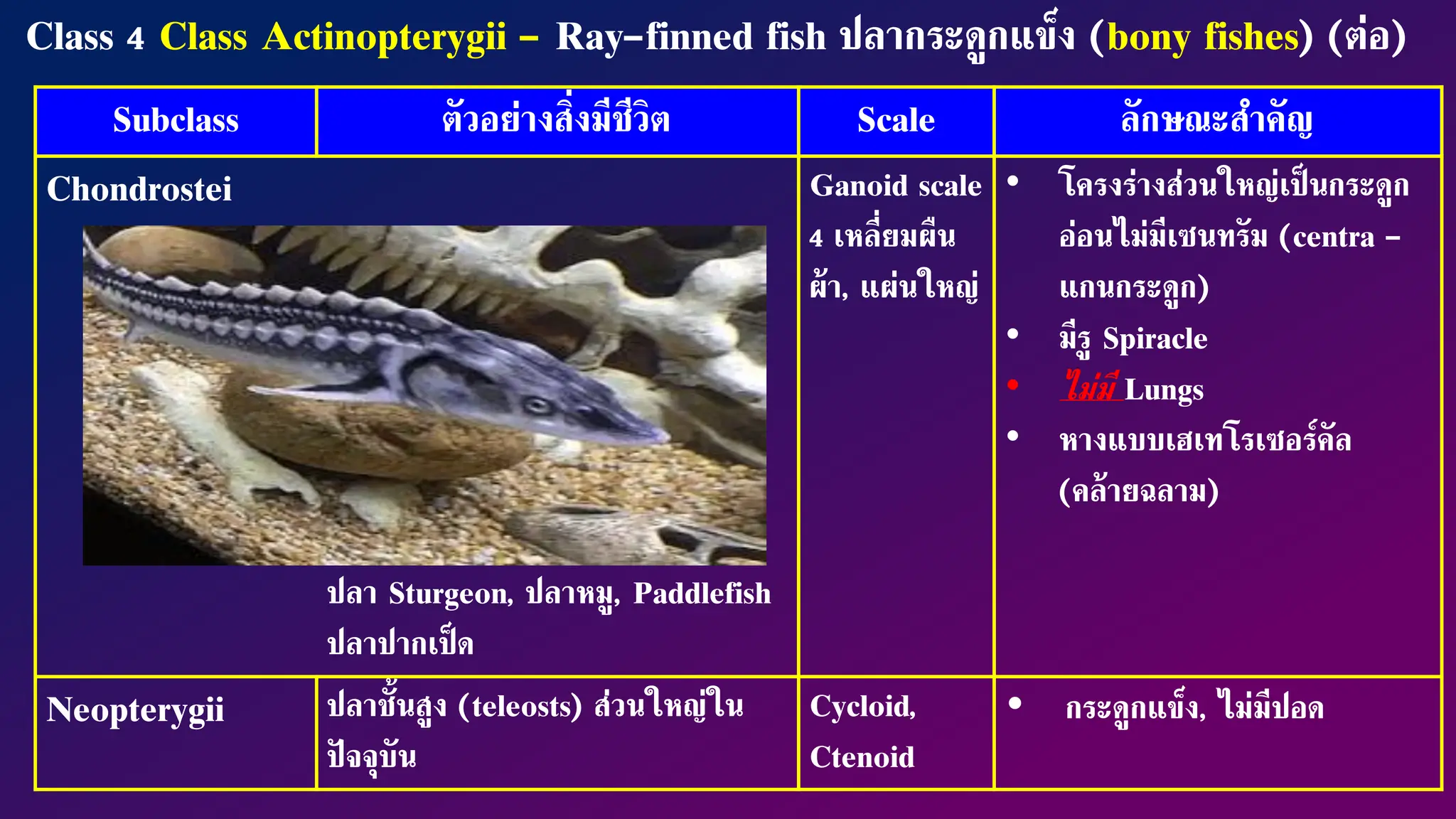Vertebrates_Part 2 Pisces.pdf