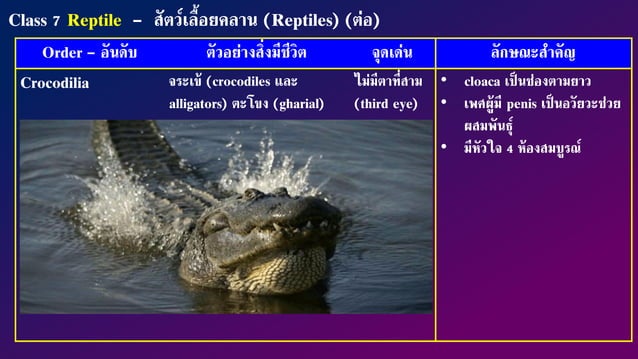 Vertebrates_Part 3 Amphibian and Reptile.pdf