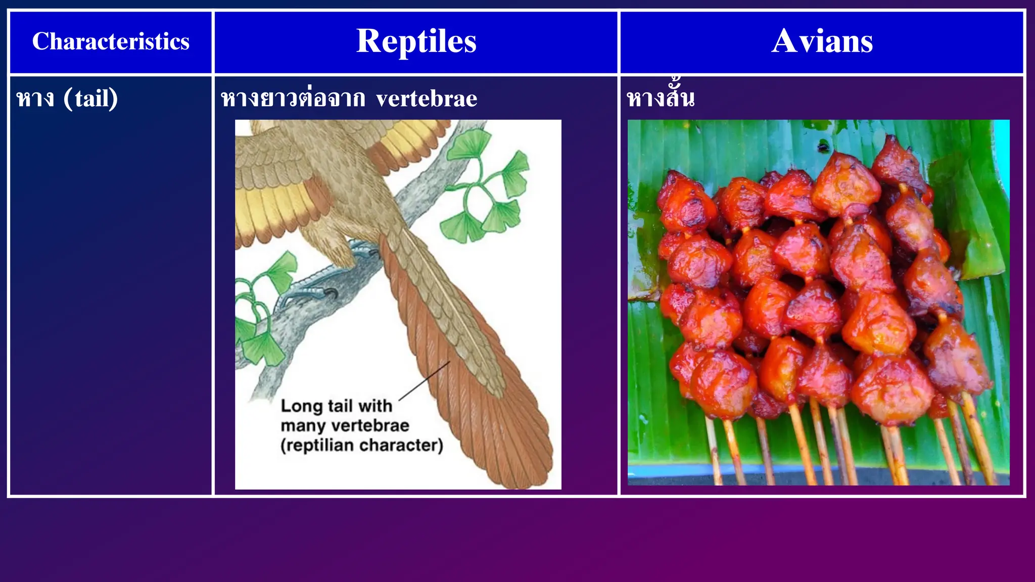 Vertebrates_Part 4 Aves and Mammal.pdf