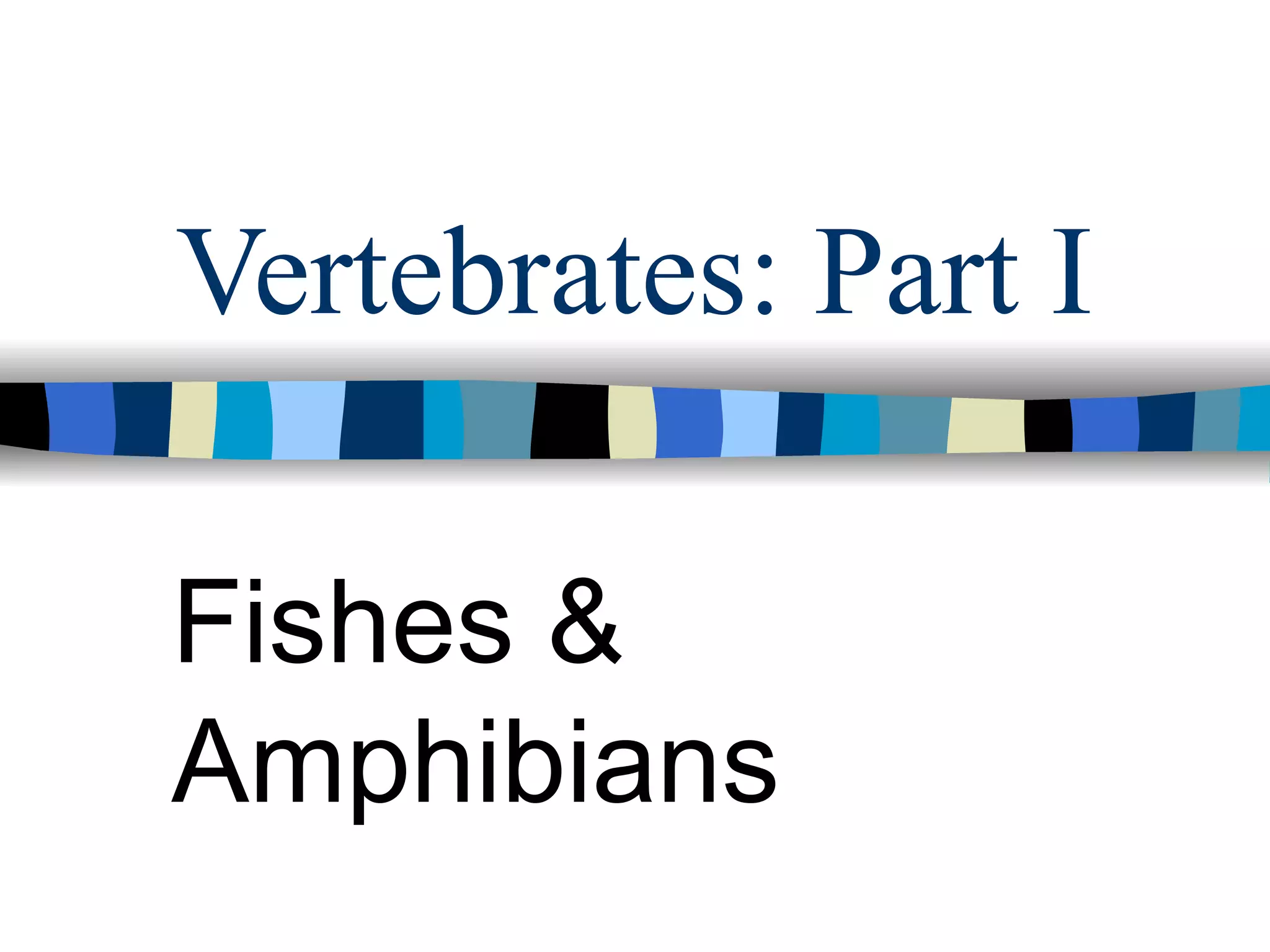 Vertebrates Part I | PPT | Reptiles | Pets