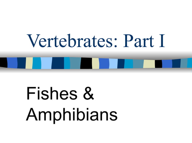 Vertebrates Part I | PPT