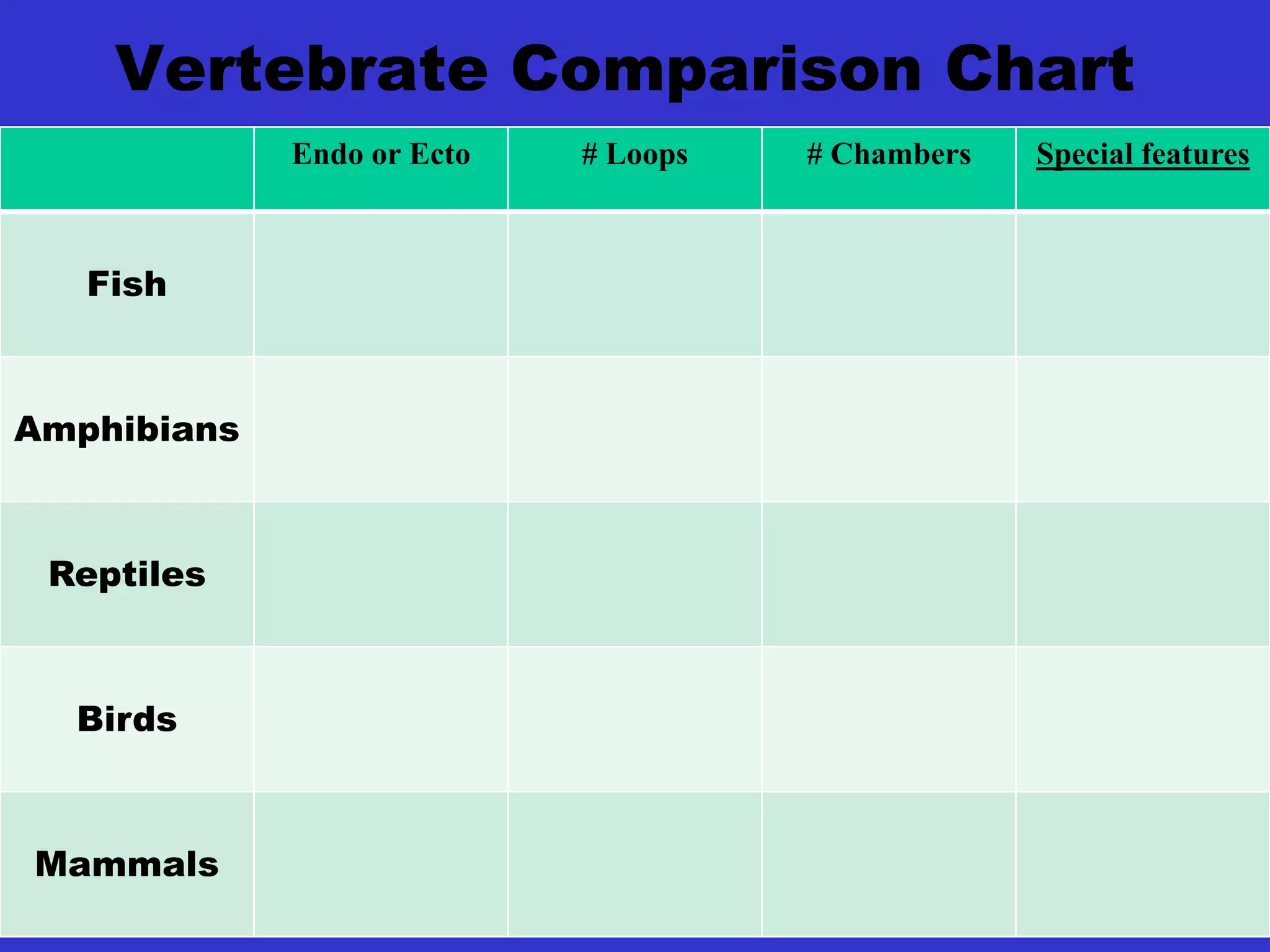 Vertebrates review chart | PPTX