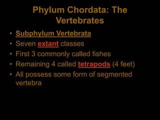 Vertebrates_Revised.ppt