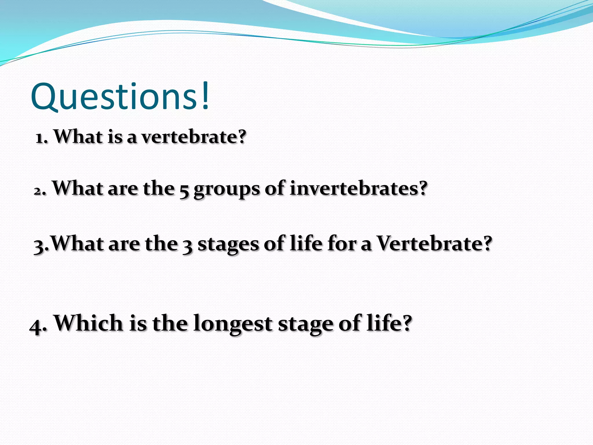 Vertebrates stages of life | PPTX