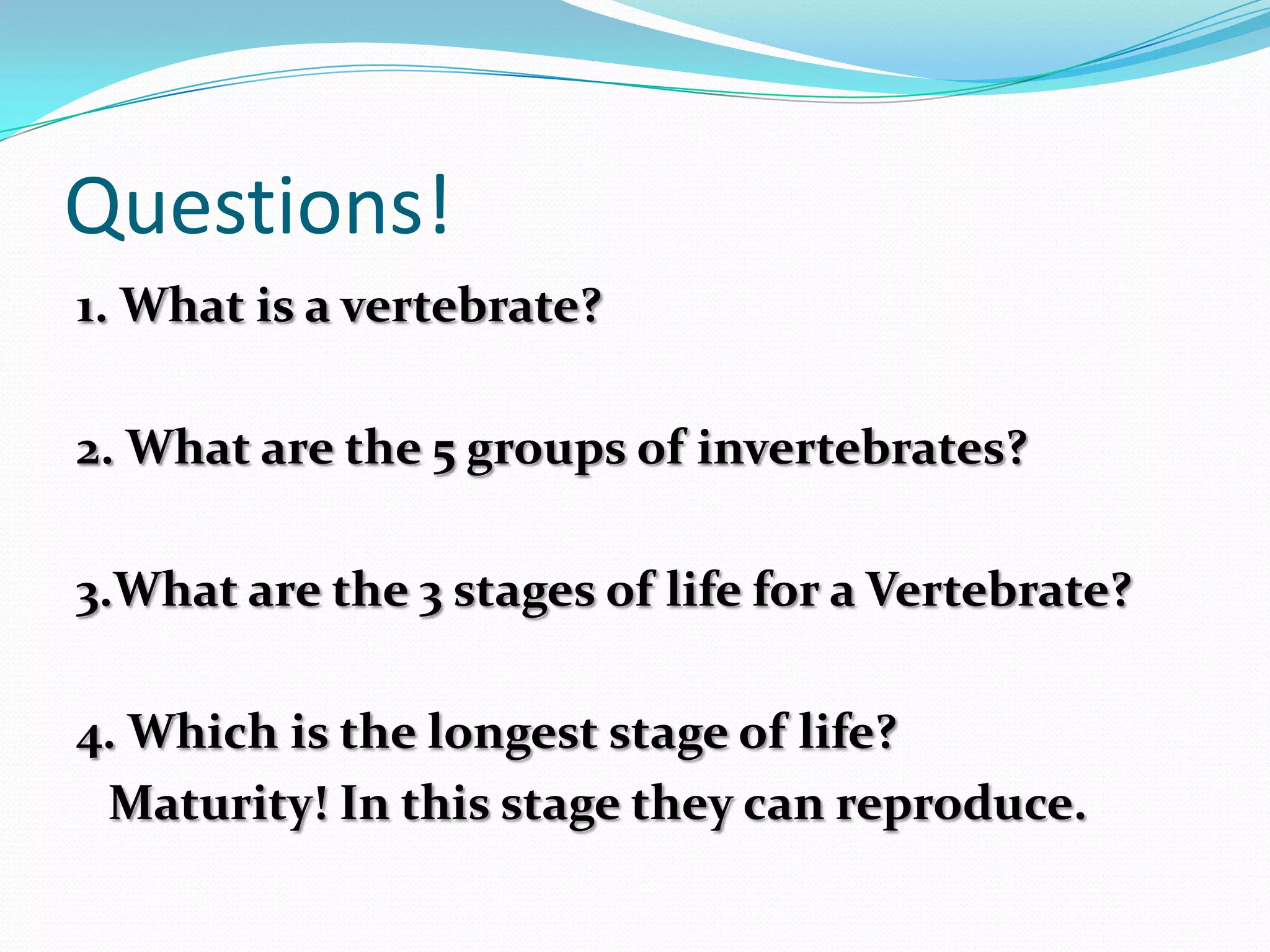 Vertebrates stages of life | PPTX