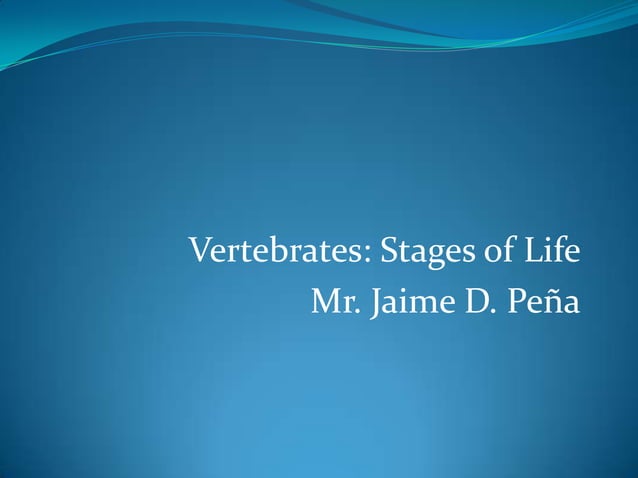 Vertebrates stages of life | PPTX