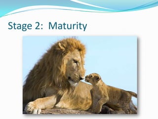 Vertebrates stages of life | PPT