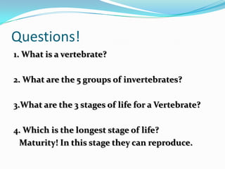 Vertebrates stages of life | PPT